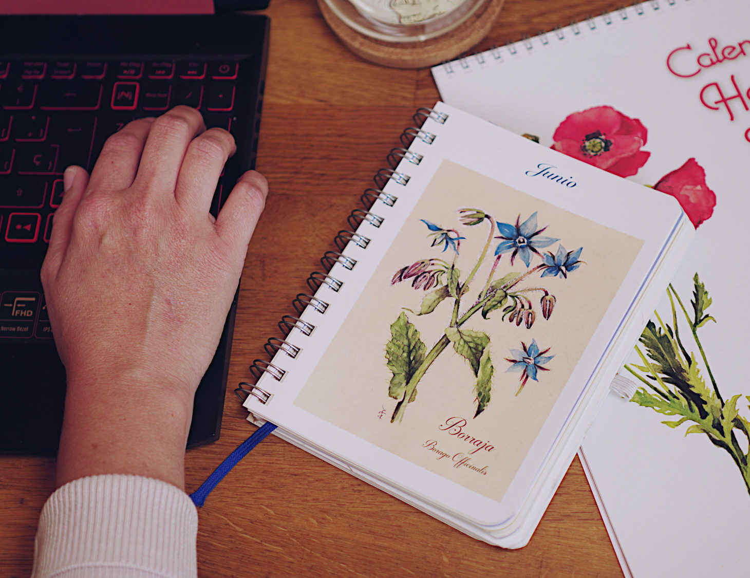 Agenda herbal - Escuela herbal